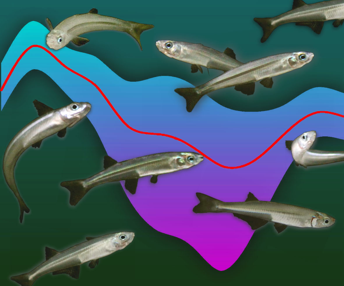 [Publication] "Offspring sensitivity to ocean acidification changes ...
