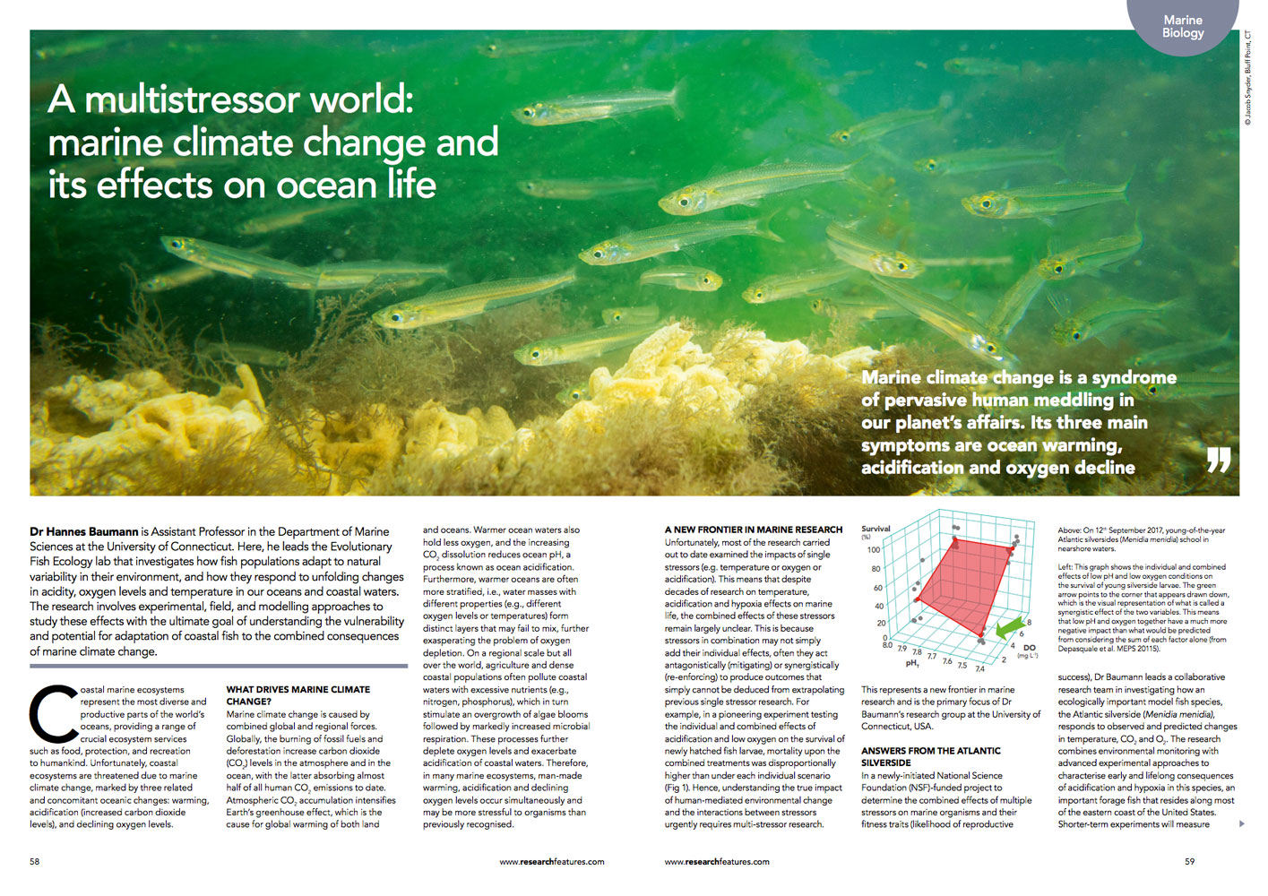 How does marine climate change affect coastal marine fish ...