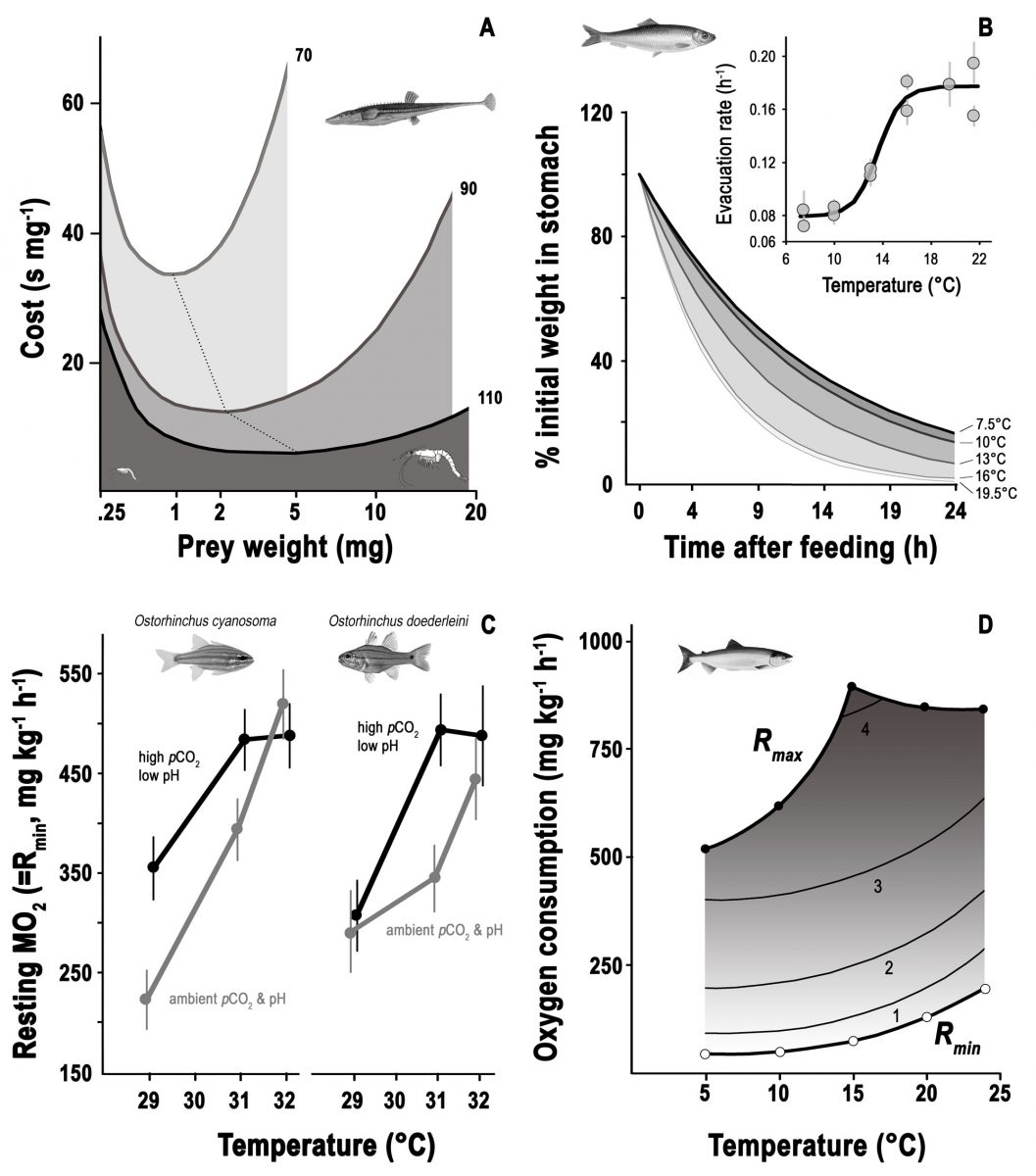 Graphs & Illustrations | Baumann Evolutionary Fish Ecology Lab