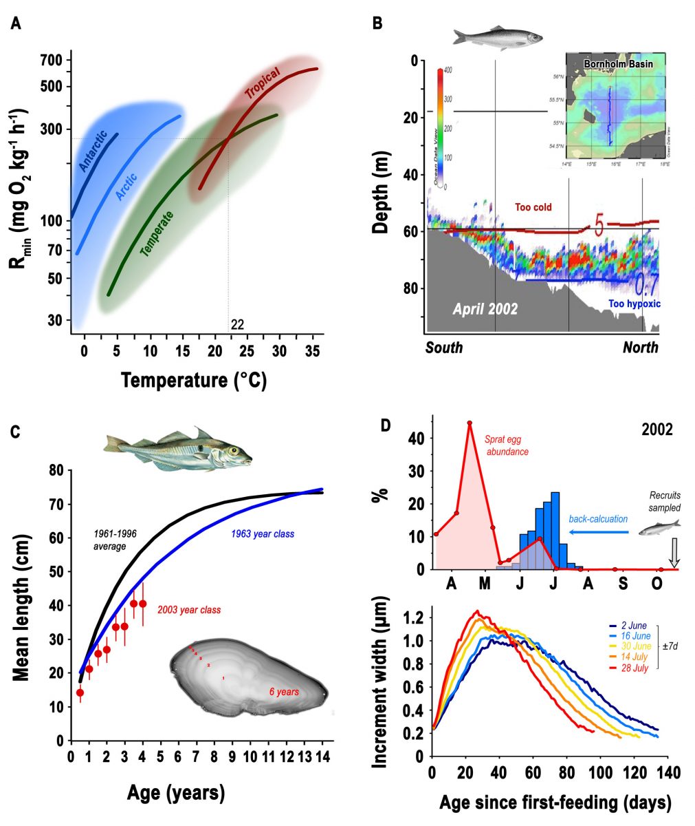 Graphs & Illustrations | Baumann Evolutionary Fish Ecology Lab