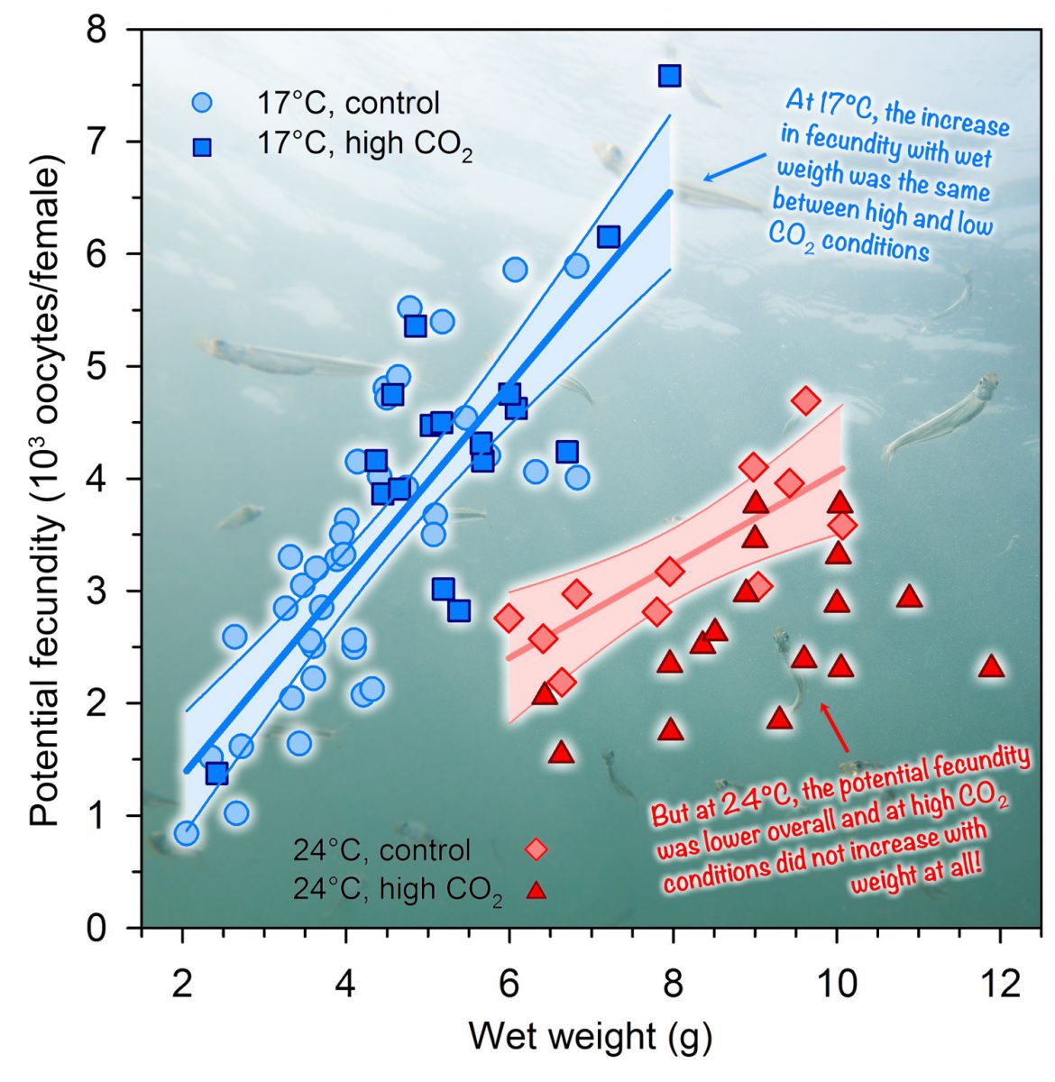 Graphs & Illustrations | Baumann Evolutionary Fish Ecology Lab