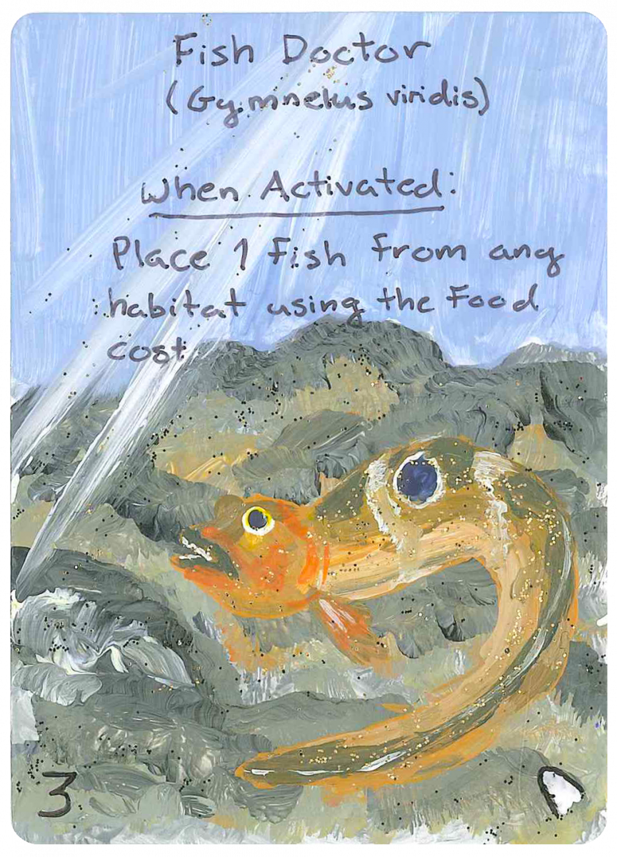 Inspiration Fish Ecology: The cards of Vicky You | Evolutionary Fish ...