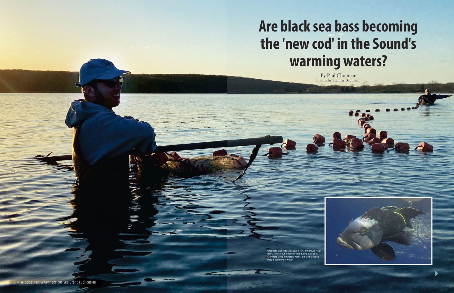 Hannes Baumann | Evolutionary Fish Ecology