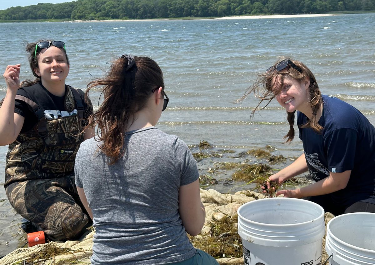 Hannes Baumann | Evolutionary Fish Ecology